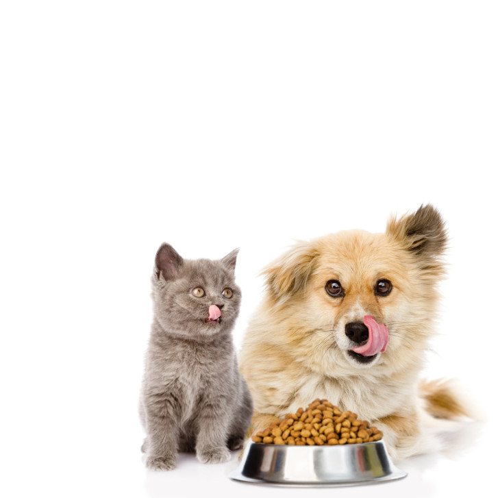 Compra Alimentos Para Mascotas de maxi-pets por Tipti. | Tipti